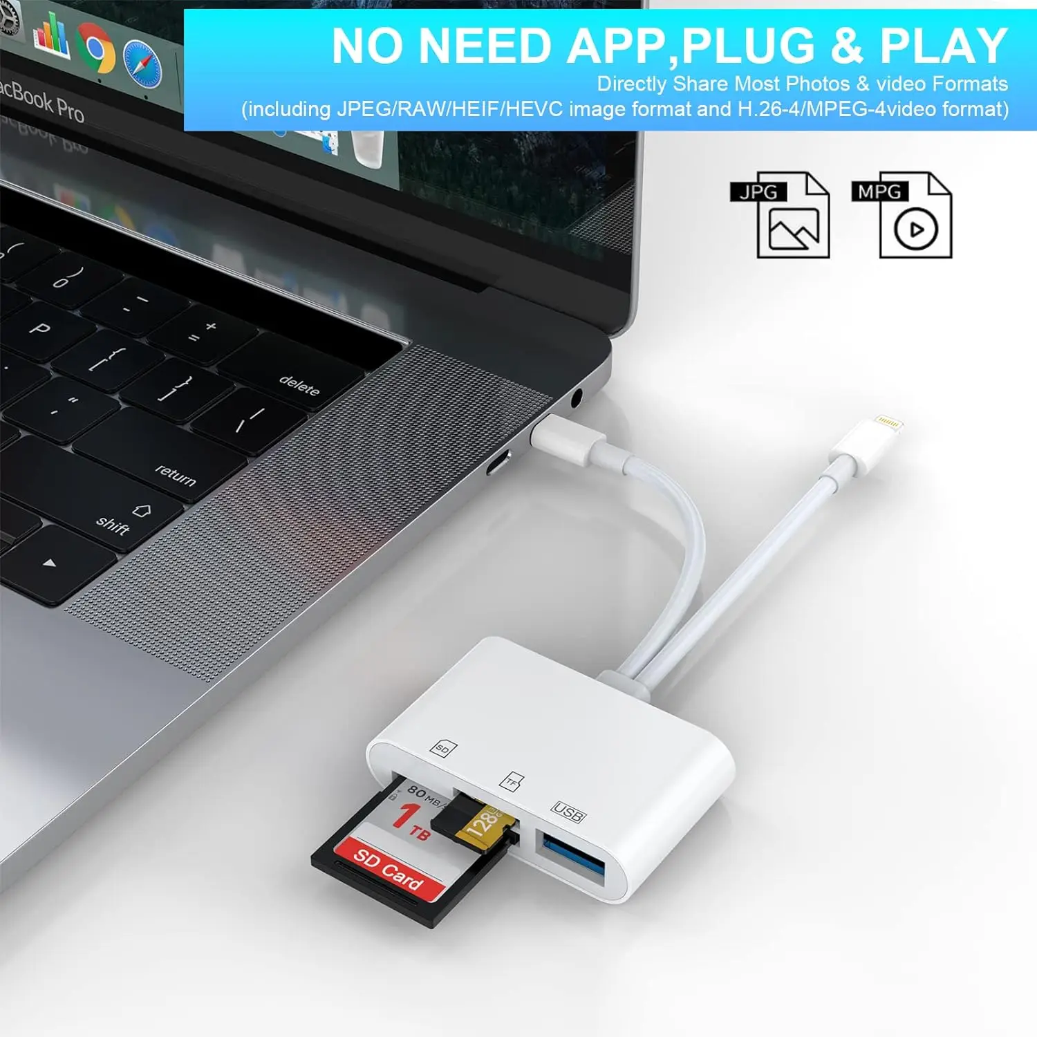 SD-Card-Reader-for-iPhone-iPad-Lightning-USB-C-Connector-to-SD-TF-Card ...