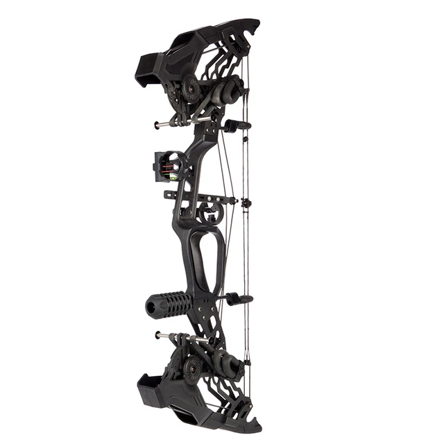 Raptor Compound Bow