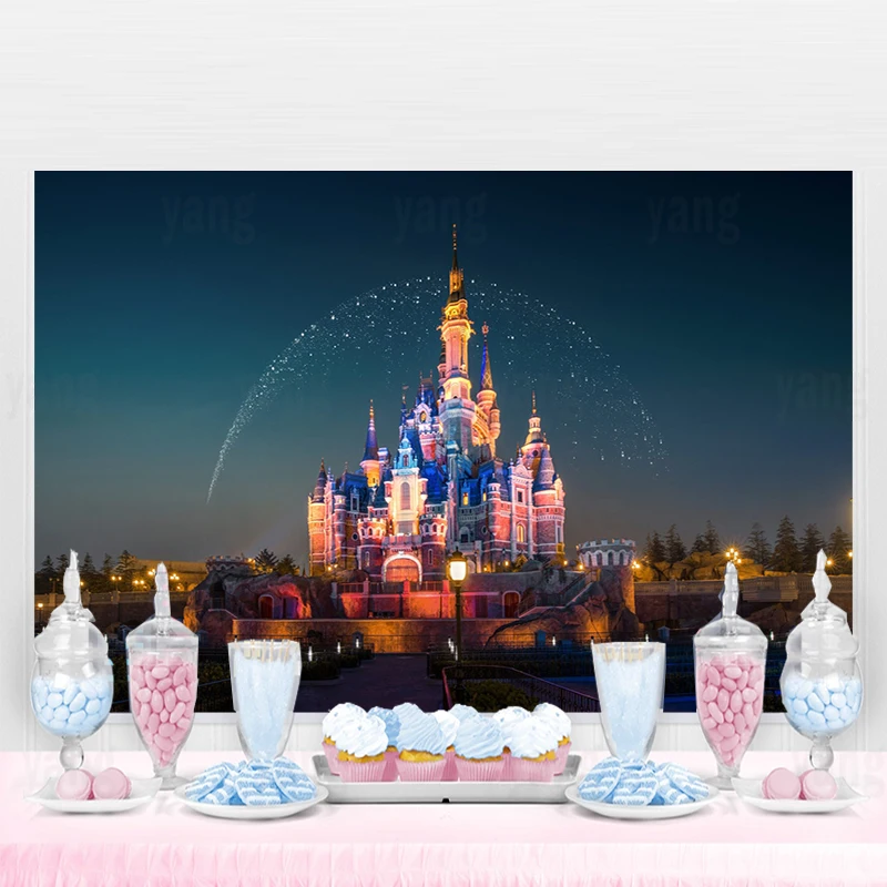 Cinderella Castle Backdrop