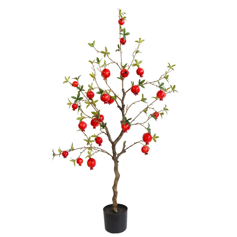 Pomegranate Tree Png