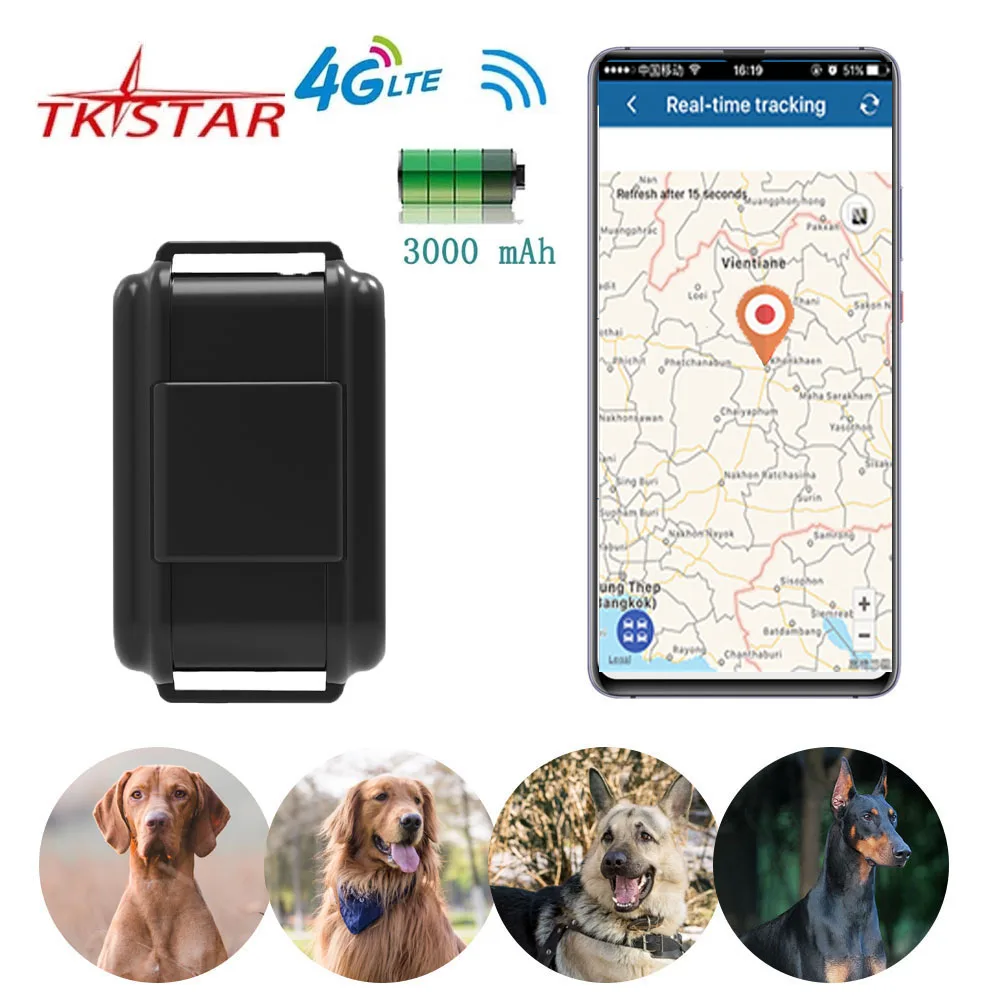 4G GPS Tracker Animal Cow Camel TK919 PRO TK935 3000mAh GPS Locator ...