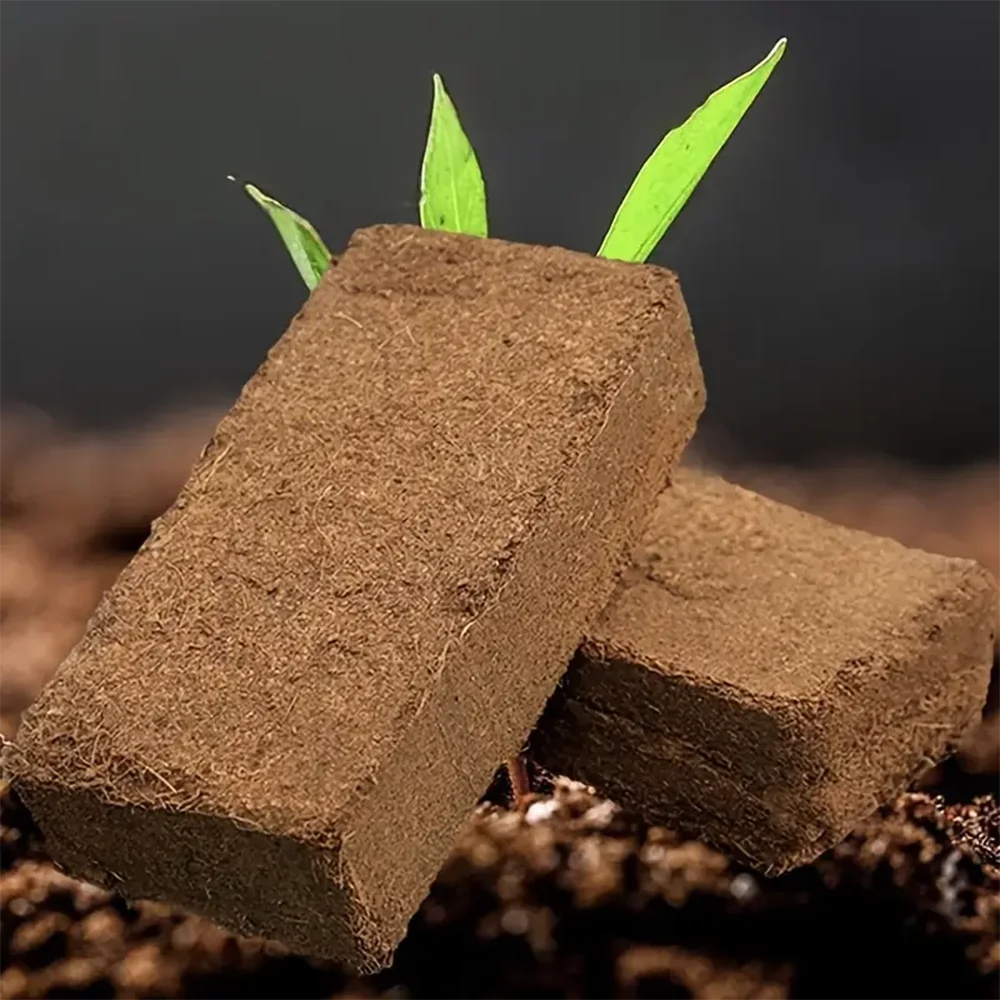 5PCS Natural Coconut Shell Fiber Bricks for Gardening - Low EC & pH ...