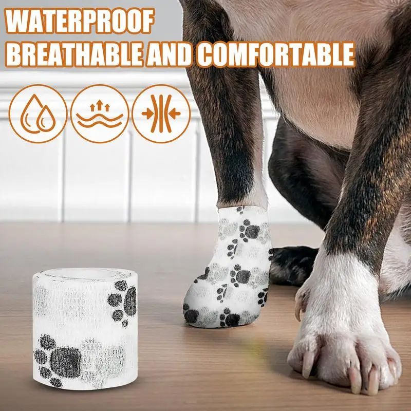 Best Dog Paw Bandage Wrap for Active Pets: Real-World Use, Fit, and ...