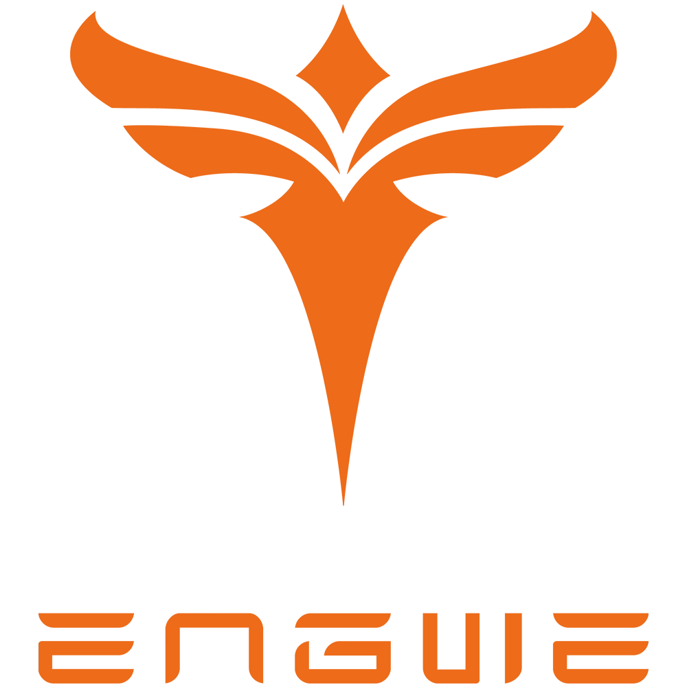 ENGWE X26 1000 Вт Dirt Ebike 48 В В Внедорожный электрический велосипед ...