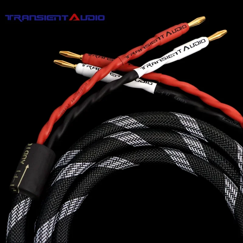 TRANSIENTHI-FIAUDIO-OFC-High-Fidelity-Hi-Fi-Audio-Enthusiast-Speaker ...