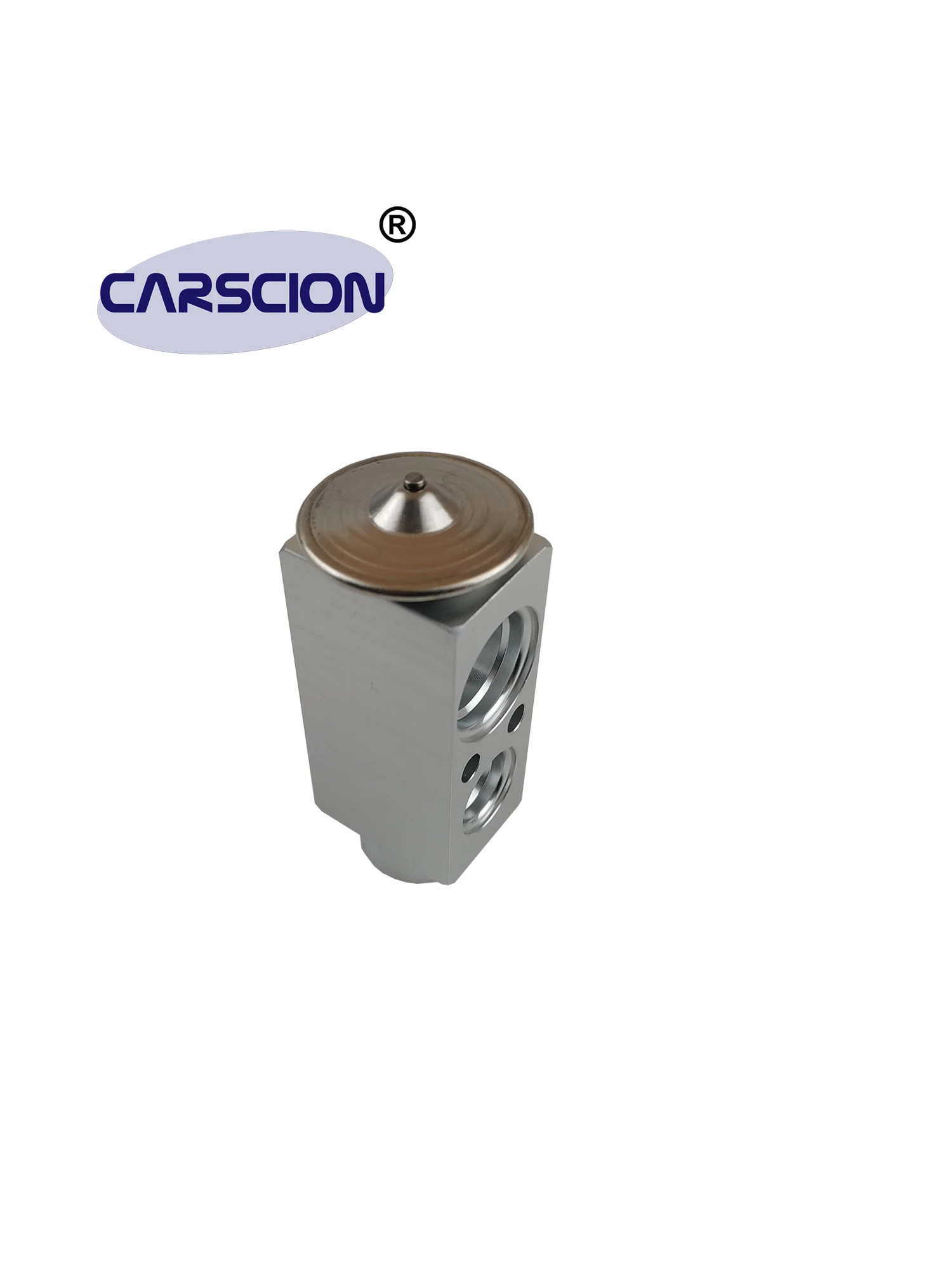 CARSCION Expansion Valve, Fit Mercedes Benz C Class E Class Sprinter ...