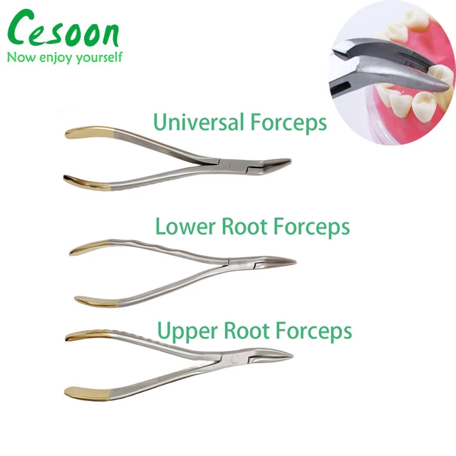 Dental Tooth Extraction Forceps Pliers Elevator Apical Root, 52% OFF