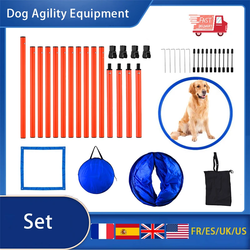 What Is Fast In Dog Agility