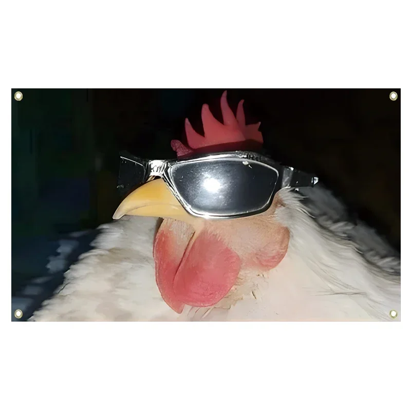 Hot Cool Chicken Flag 3x5 Ft 2x3 Ft Funny Animal Wall Hanging Durable ...