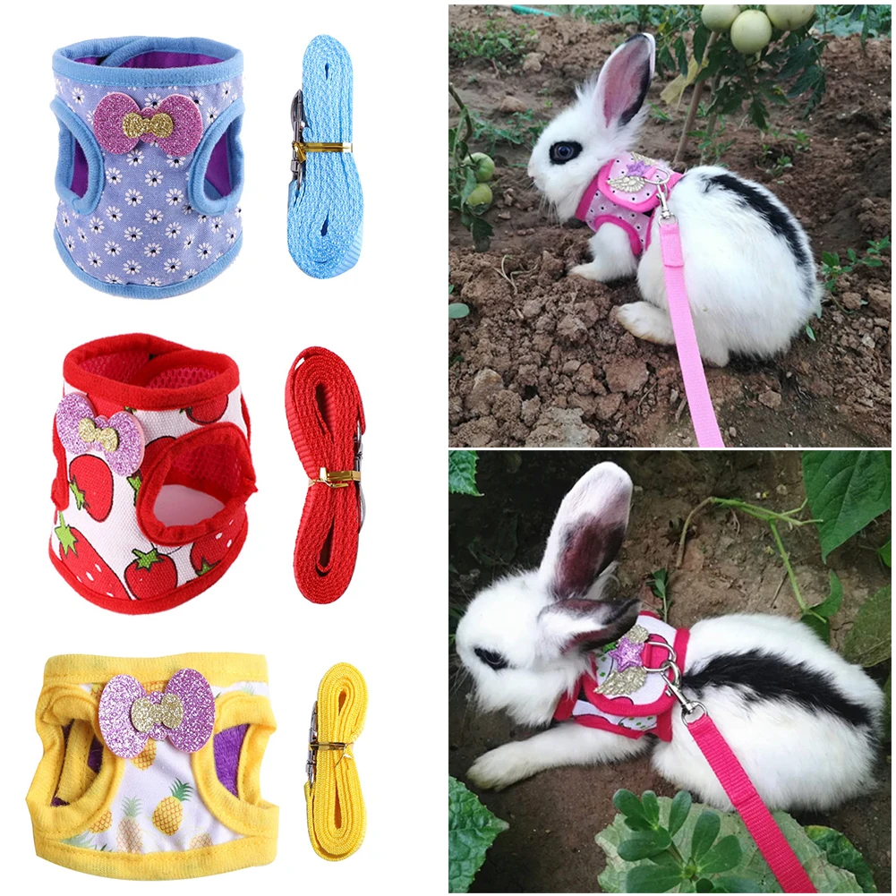 Rabbit-Chinchilla-Vest-Harness-with-Leash-Guinea-Pig-Harness-Leash ...