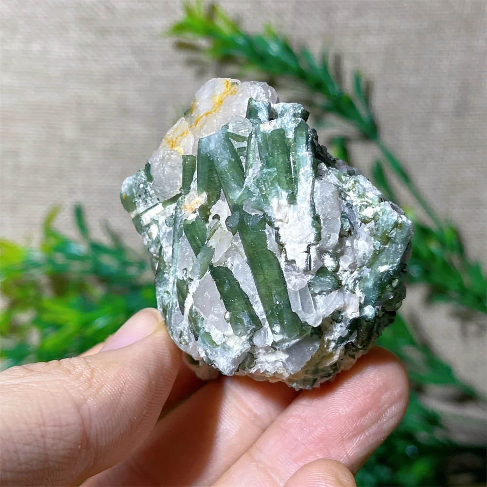 Natural Crystal Healing Geode Specimen Green Tourmaline Stone Mineral ...