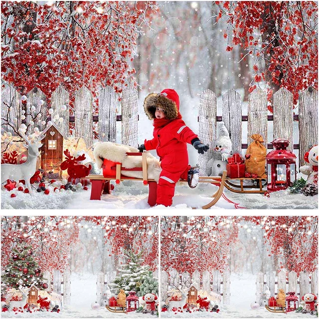 Christmas Photo Booth Background