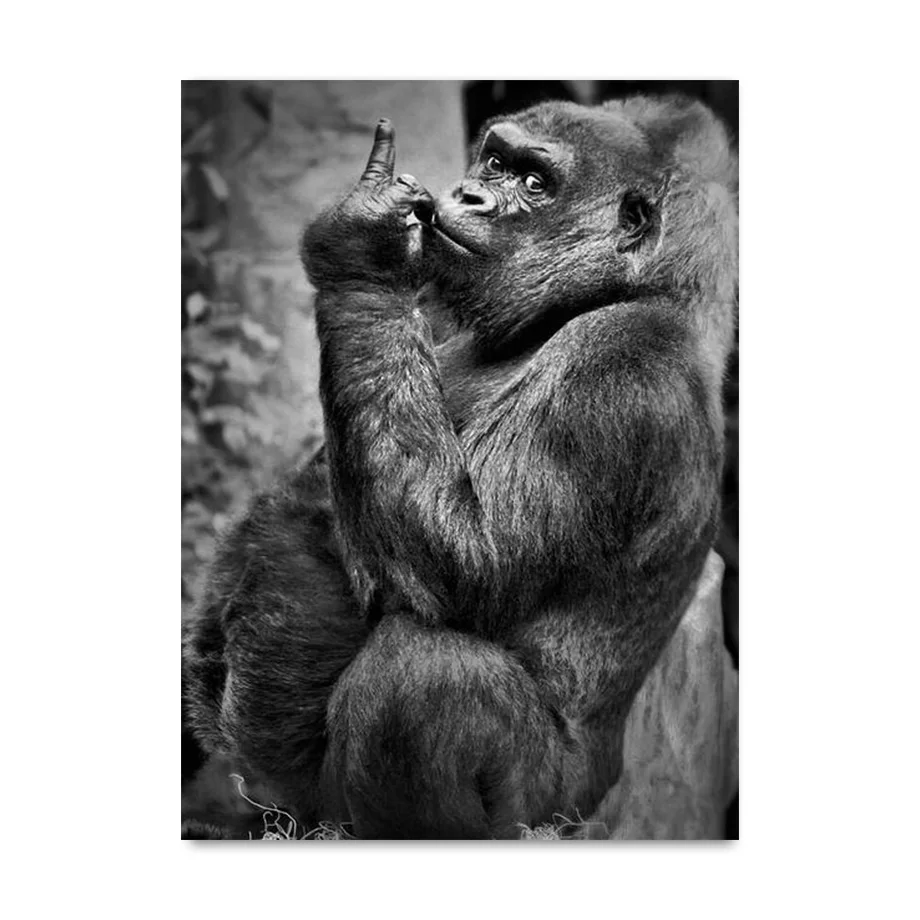 Animal Middle Finger