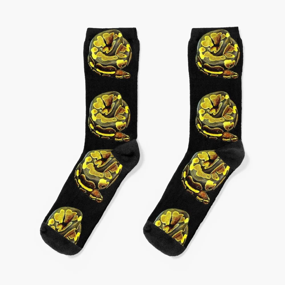 Ball-Python-Gorgeous-Snake-Morph-Socks-Happy-Socks-Sports-Stockings-Man.jpg