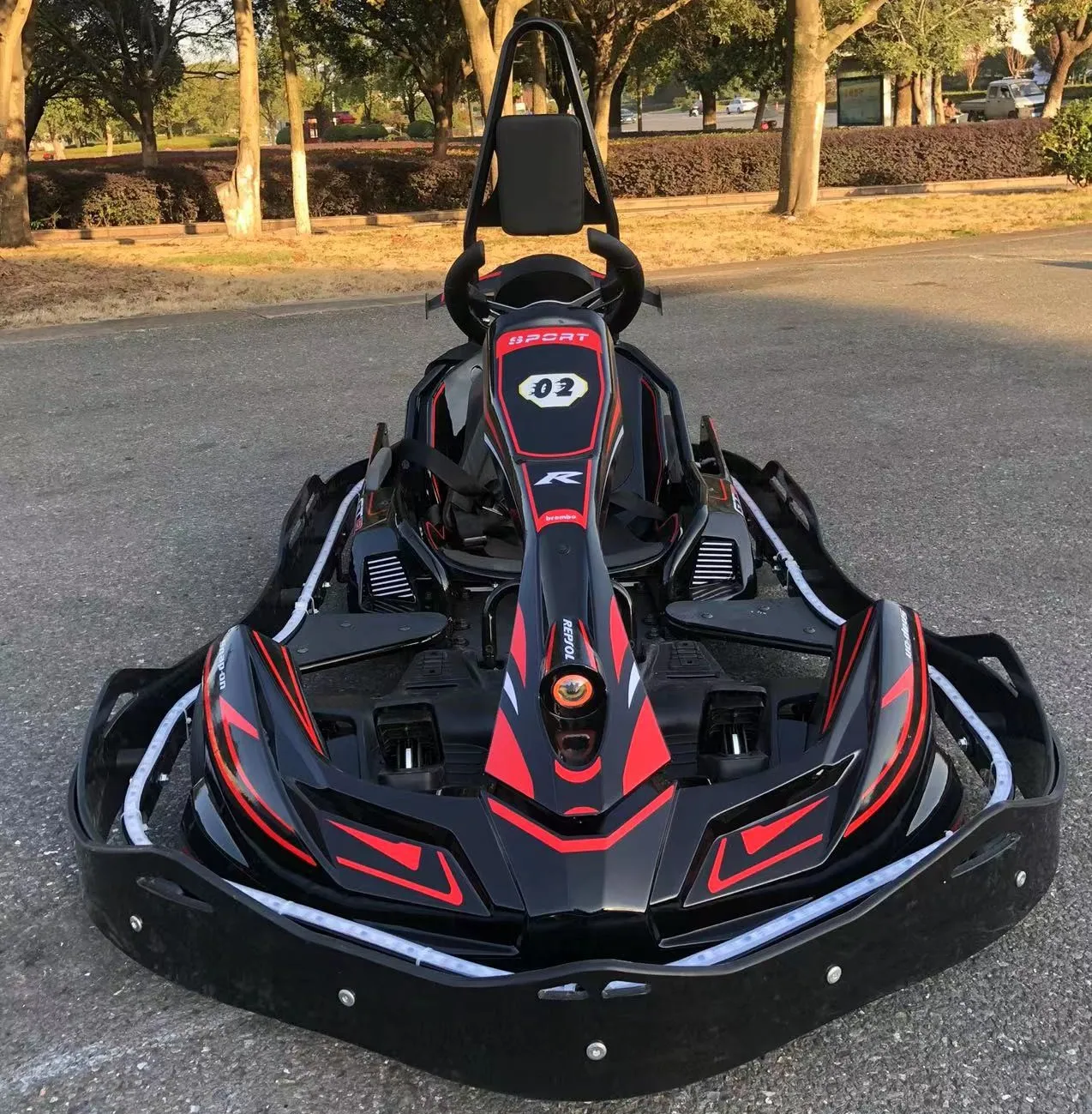 Elektrisches Go Kart Erwachsene