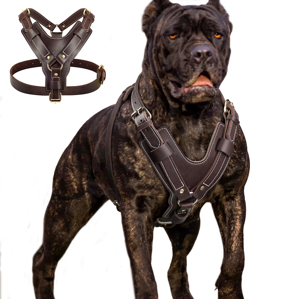 Durable-Large-Dog-Harness-Genuine-Leather-Dog-Vest-Harnesses-Adjustable ...