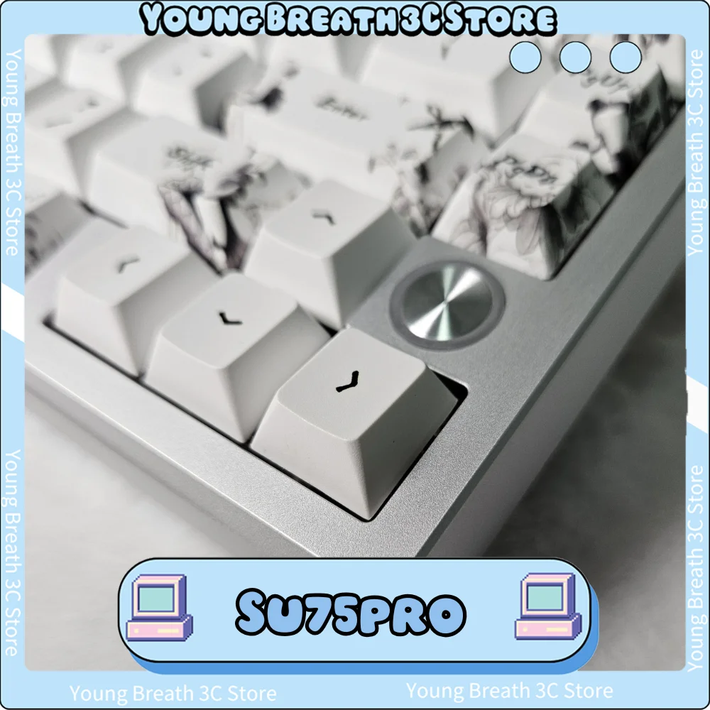 S66642260460a42039d0815344f3c9ecea.png