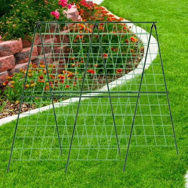 A Frame Vegetable Support