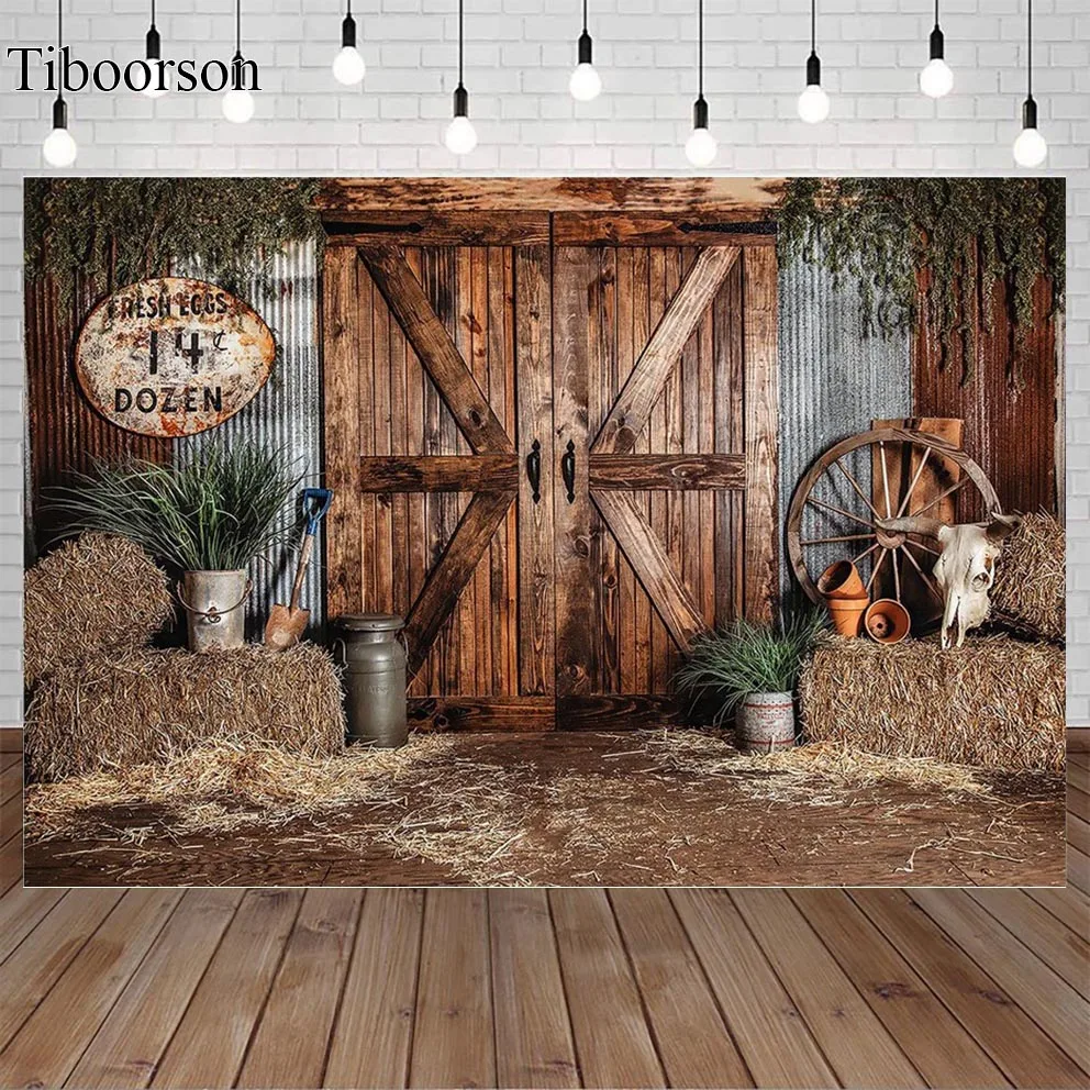 Rustic Wood Door Background