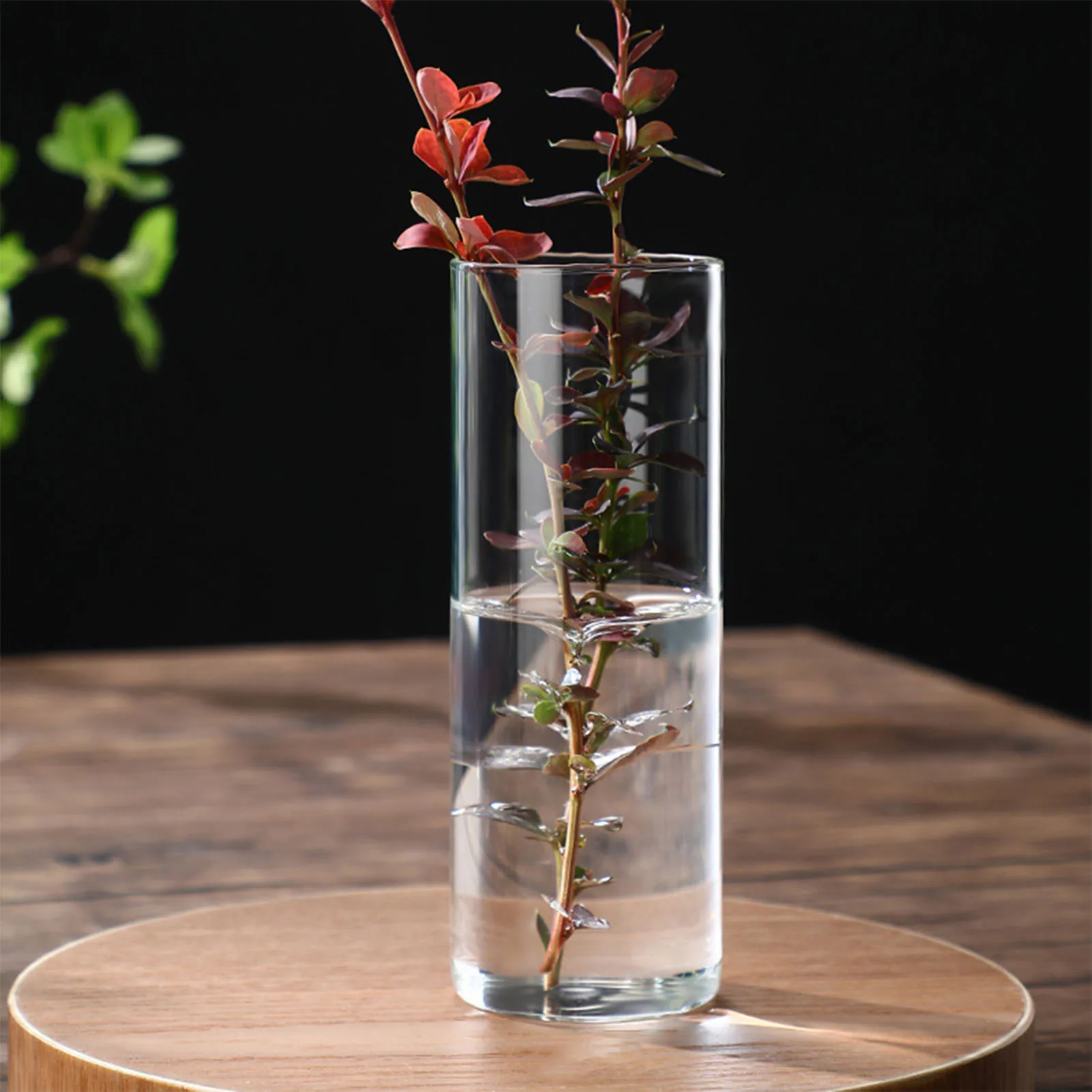 Transparent Glass Hydroponic Vase Minimalist Glass Vase Cylinder Flower ...