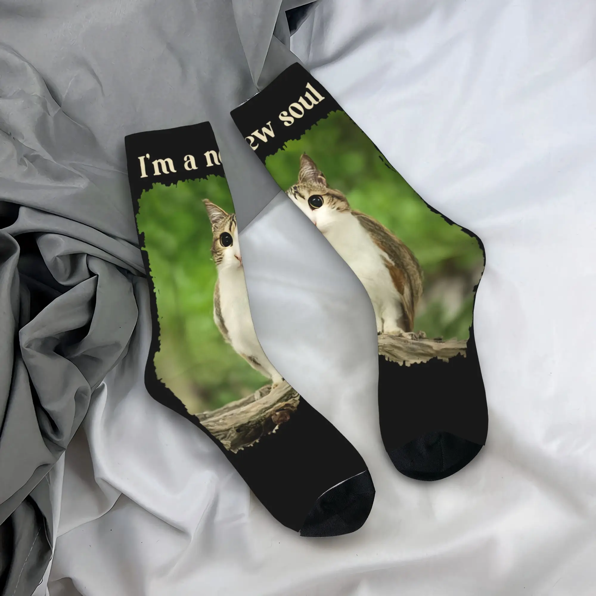 Unisex Men Socks Funny Meowl Meme Cat Owl Meme Brainrot Gen Stockings ...