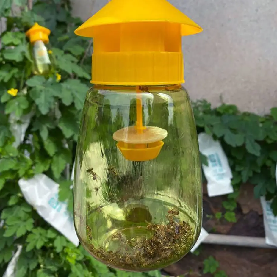 Fruit-Fly-Trap-Killer-Yellow-Plastic-Drosophila-Trap-Anti-Fly-Fruit-Fly ...