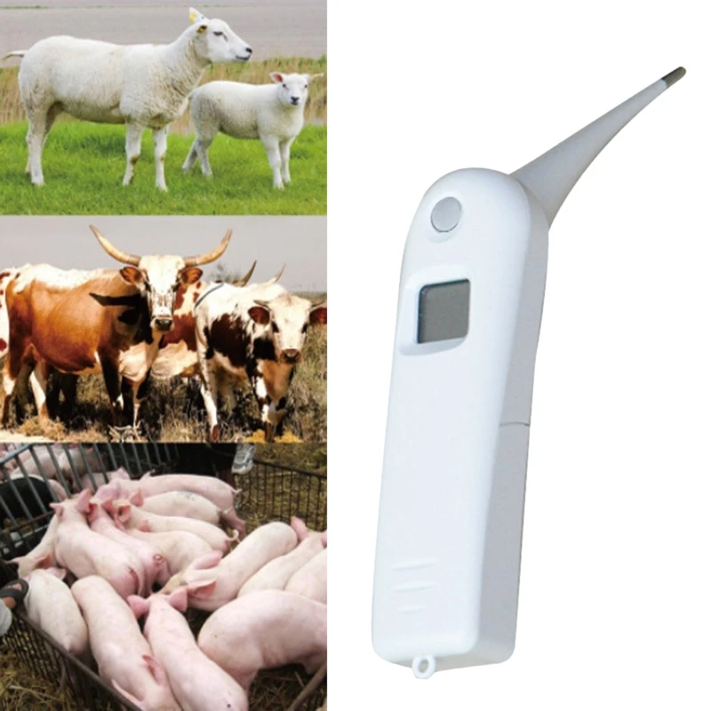 Pet Thermometer Fast Digital Veterinary Thermometer for Dogs Cats Horse ...