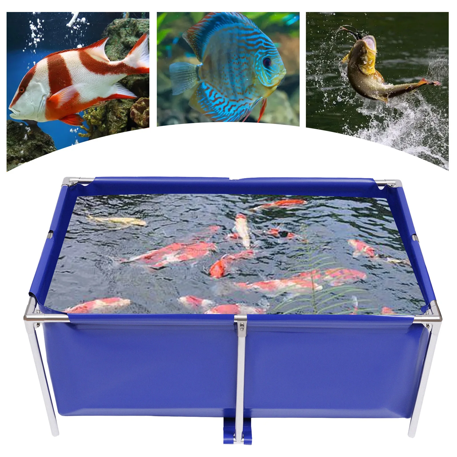 Aquarium-Fish-Water-Tank-Ornamental-Swimming-Pool-Koi-Breeding-Pond.jpg