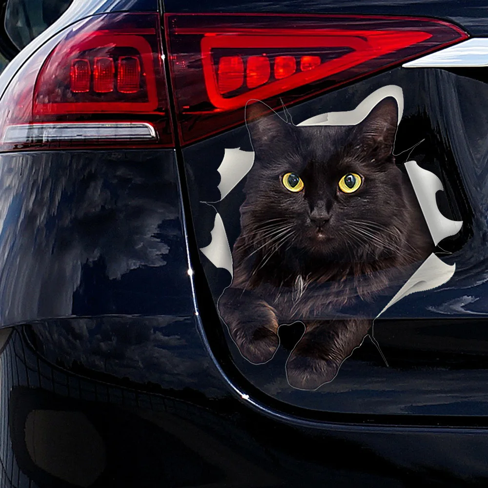 Black Ragdoll Cat Car Sticker - Gift Sign