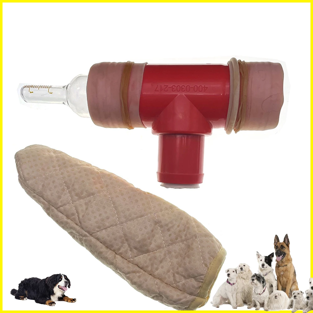 Store Home Products Outdoor Fun Feedback