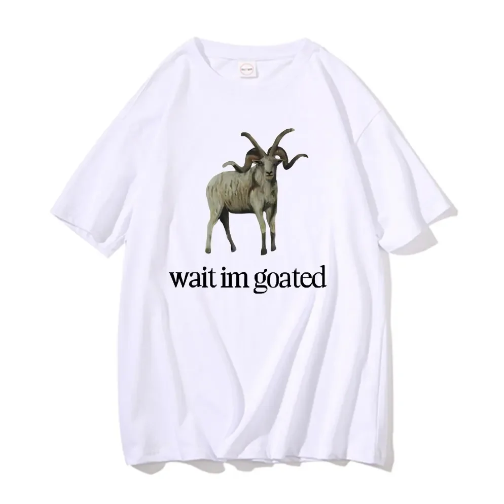 S66ded06304c2447f9639b334756eed968.jpg