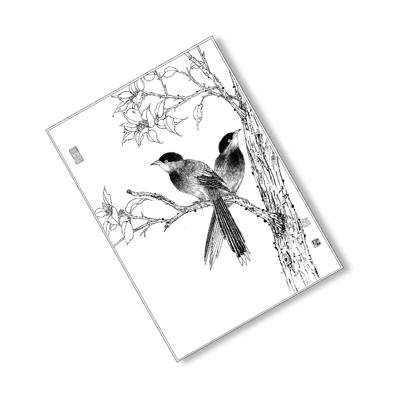 Chinese Birds Drawing