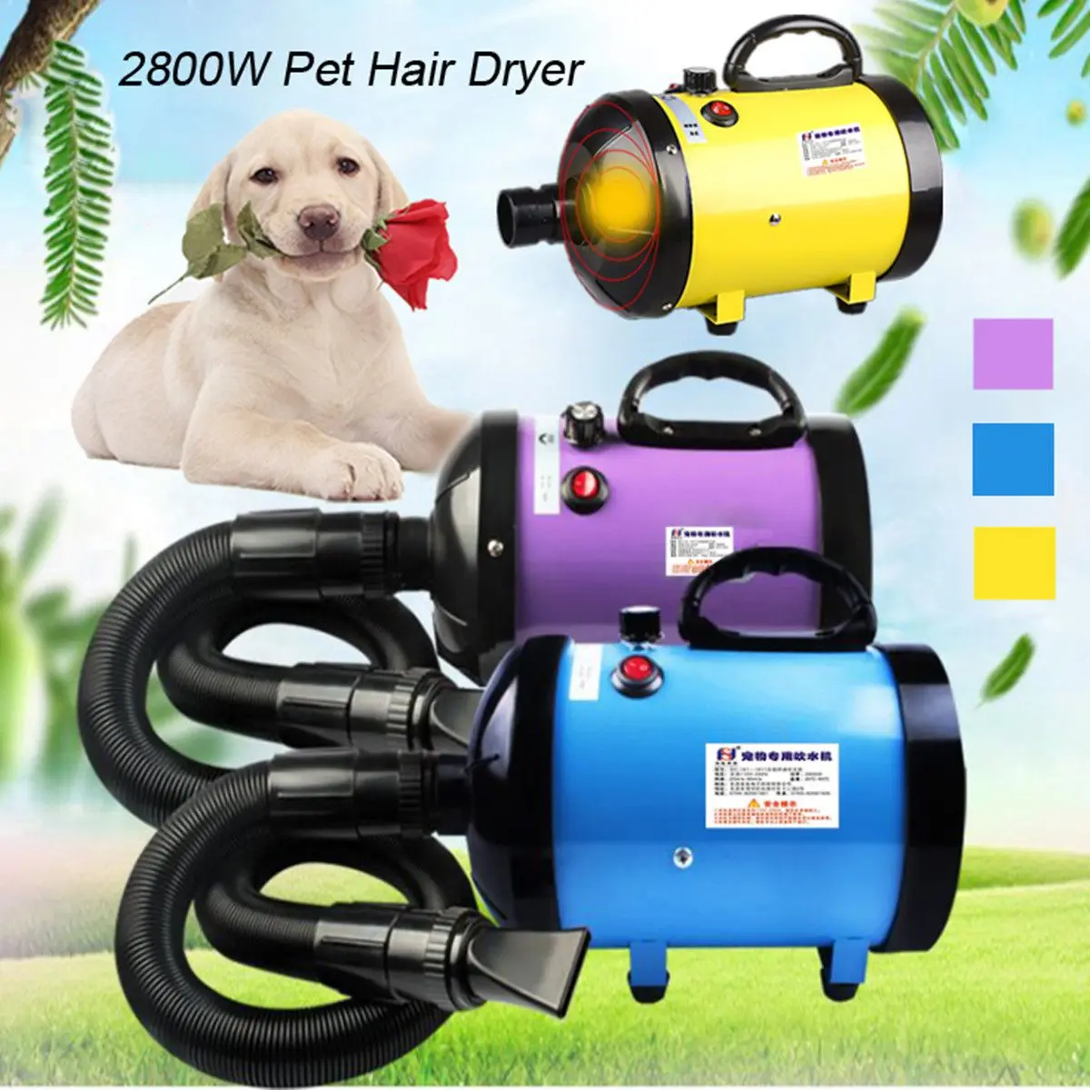 Professional Hair Dryer Grooming Dogs | Best Professional Dog Grooming ...
