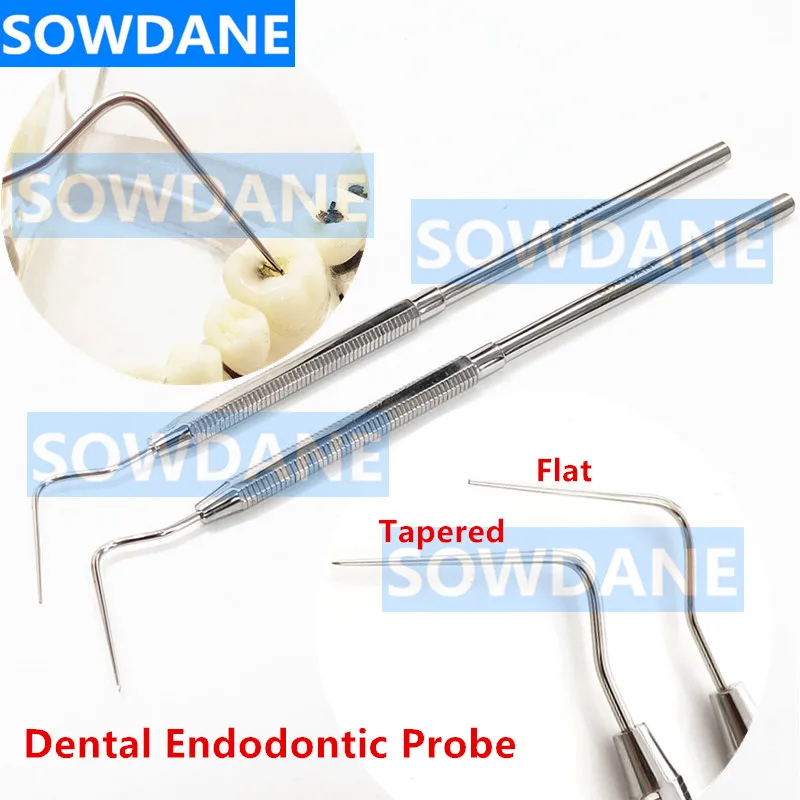 New-Handle-Dental-Stainless-Steel-Endodontic-Probe-Explorer-Flat ...