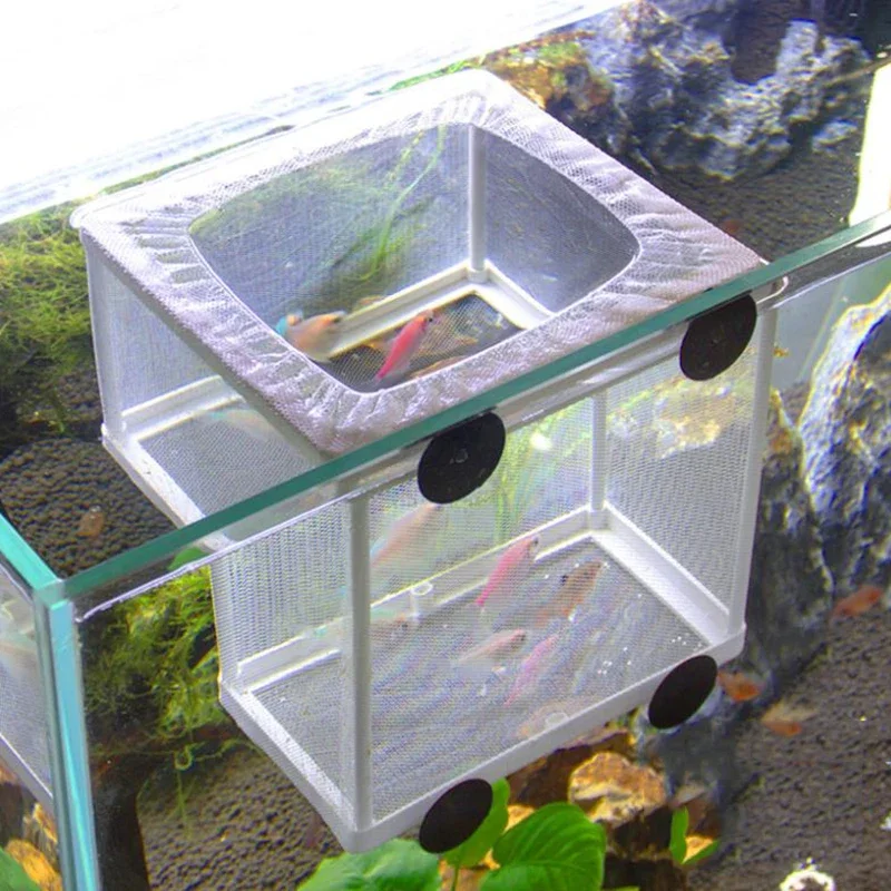 Baby Fish Separator For Aquarium AQUARZOO For Fish Tank, Breeding Box ...