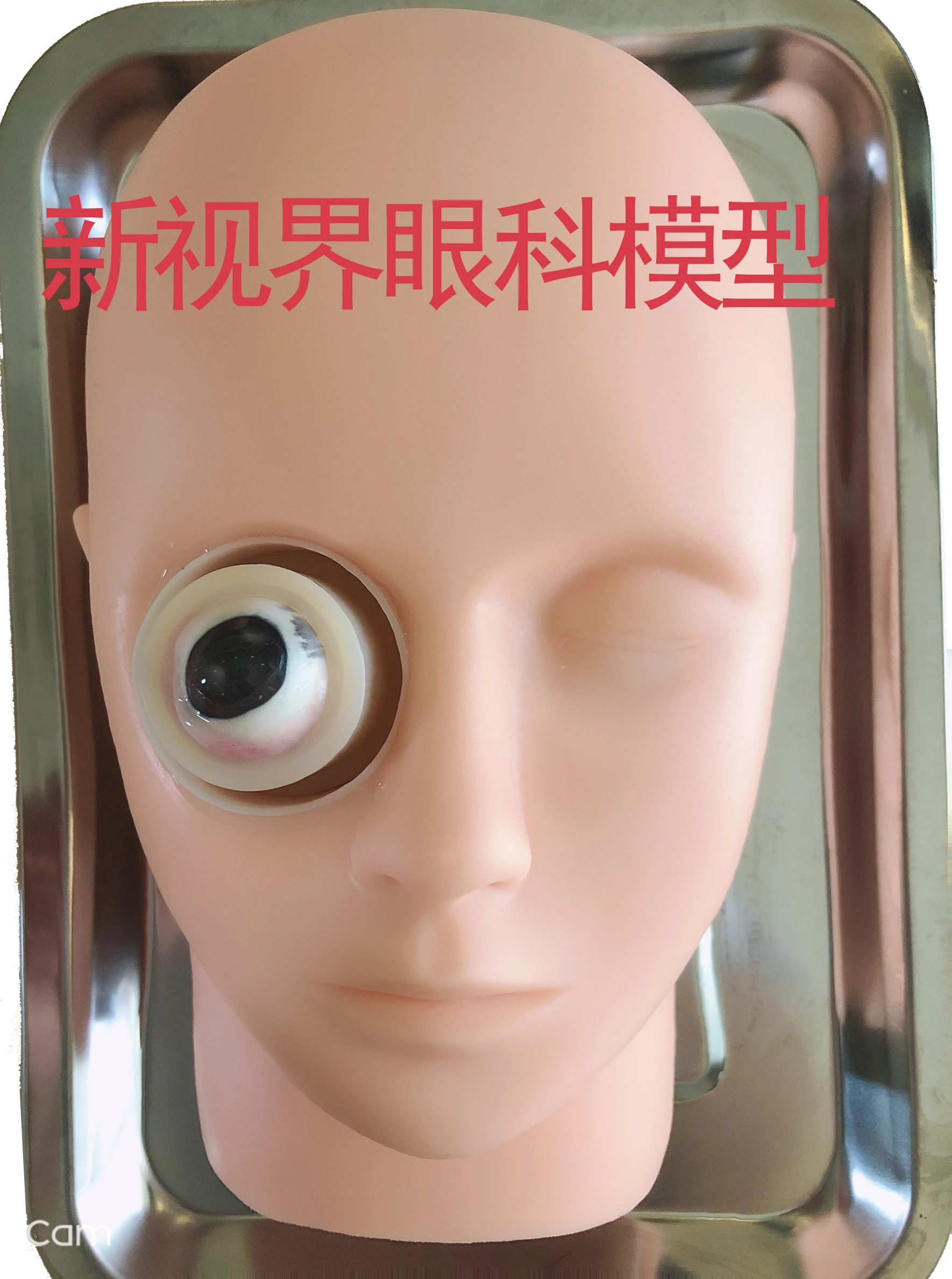 Ophthalmic surgery practice model Ophthalmic head model Eyeball ...