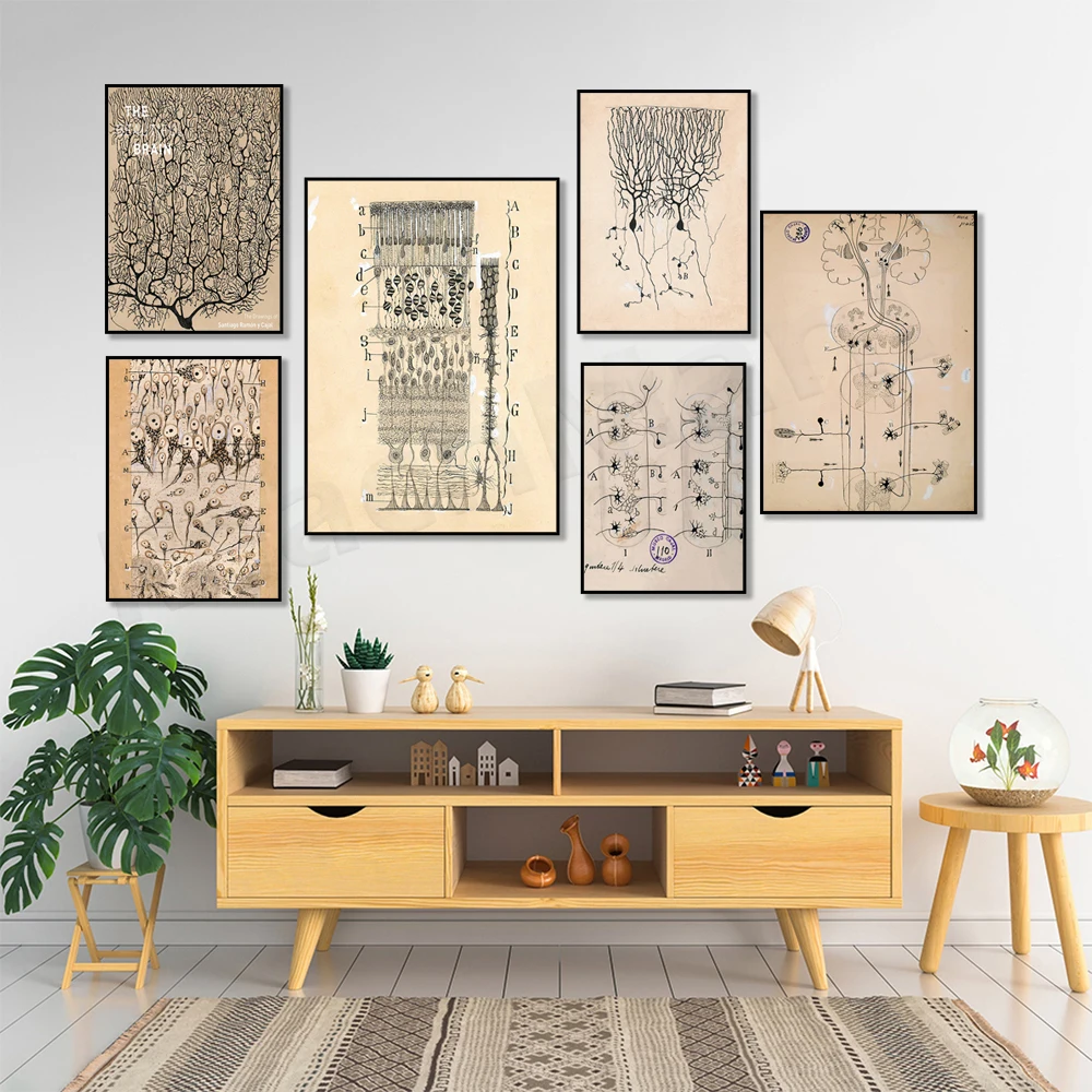 Santiago Ramon y Cajal Neuron Drawing Vintage Poster Brain Anatomy Wall ...