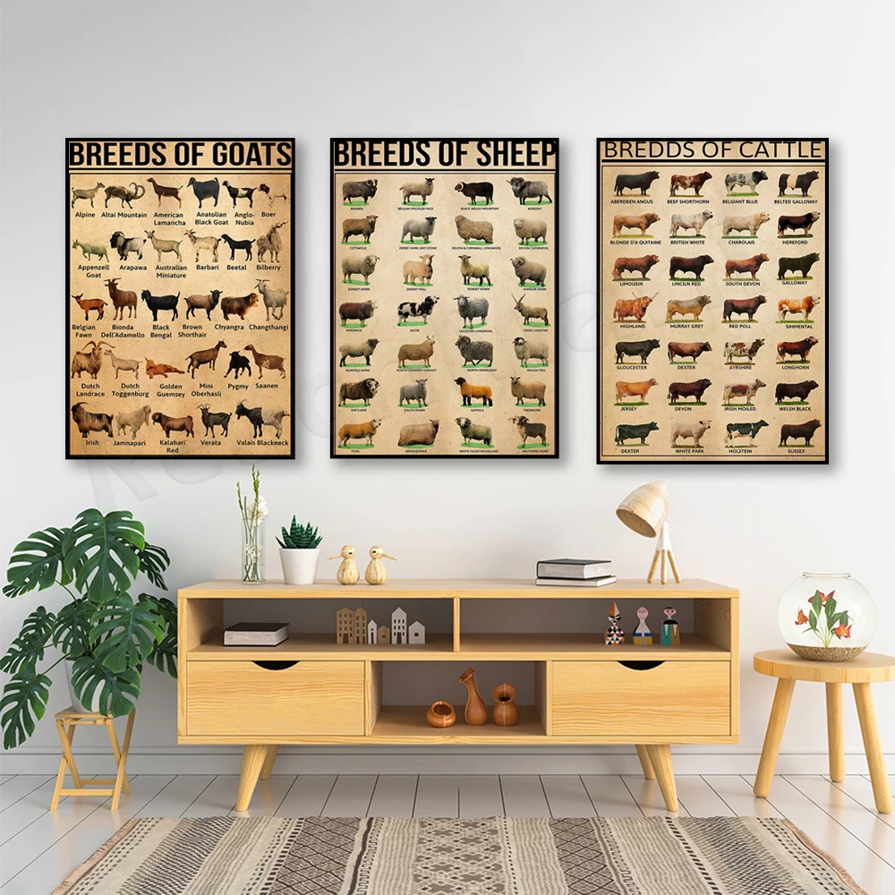 Sheep-Breeds-Sheep-Types-Goat-Breeds-Goat-Types-Dairy-Cow-Breeds-Poster ...