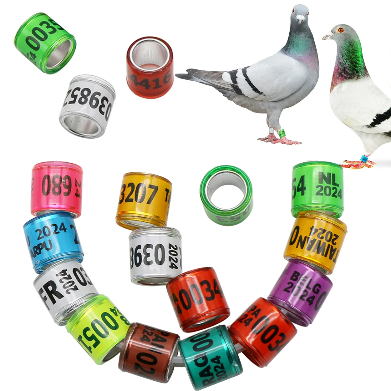 100Pc-2024-Aluminum-Plastic-Pigeon-Foot-Ring-With-Number-Letter-Bird ...