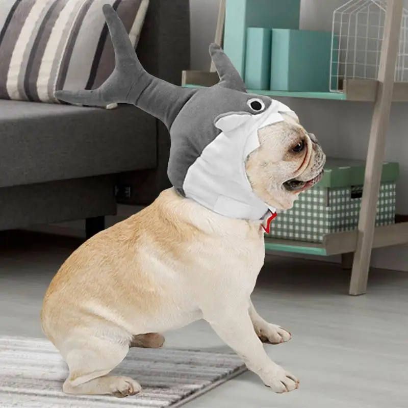 Shark Costume For Dogs