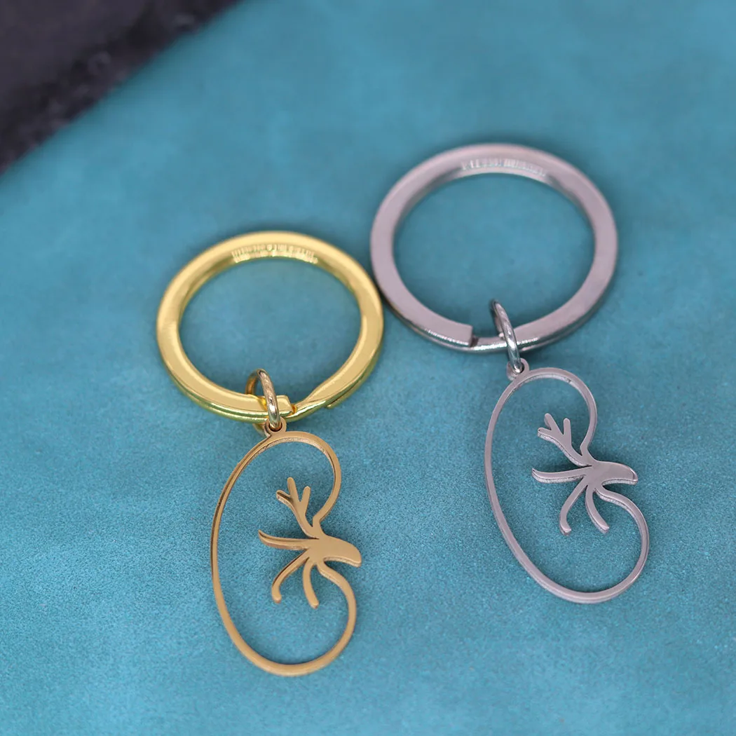 Kidney Medical Keychain For Men Women Stainless Steel Pendant Key Ring ...
