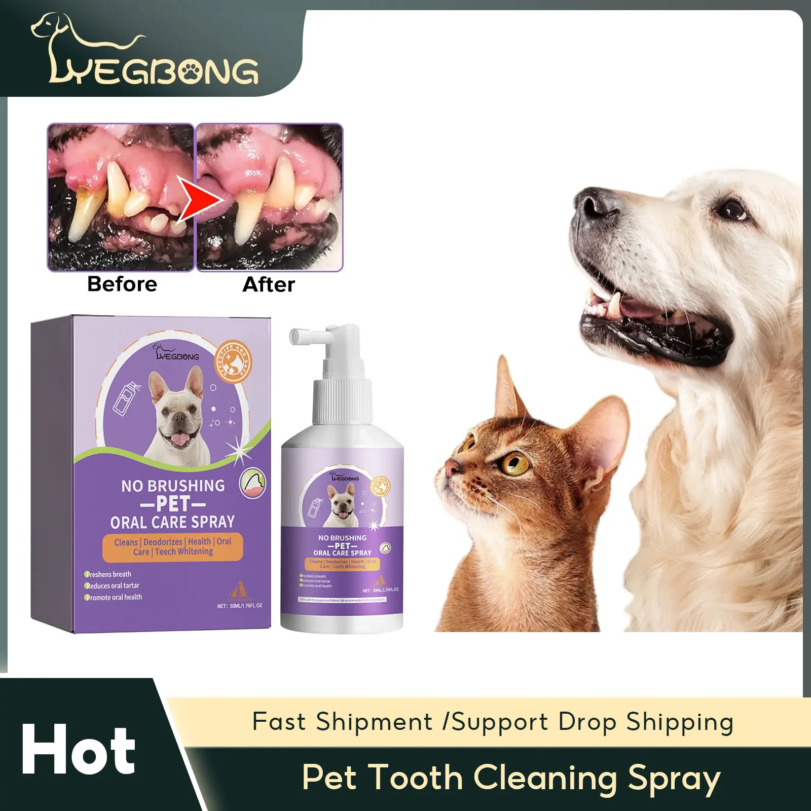 Household Life Store Store