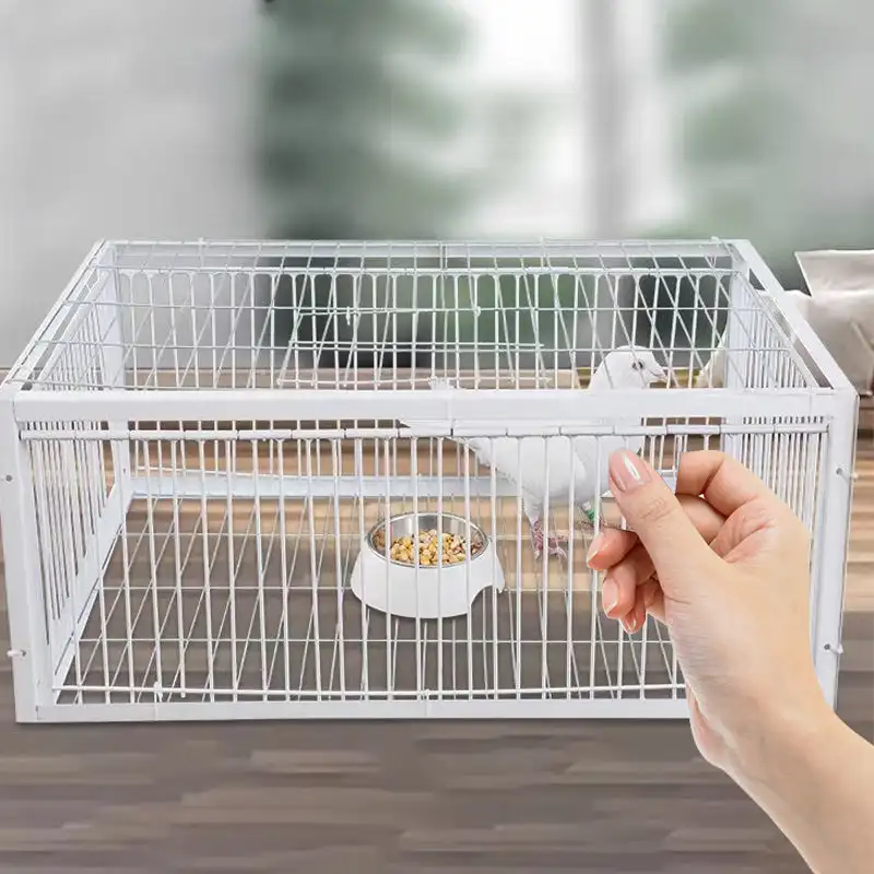 Pigeon-Trap-Auto-Trap-Bird-Cage-Pigeon-Dove-Cage-Coop-Escape-Proof-One ...