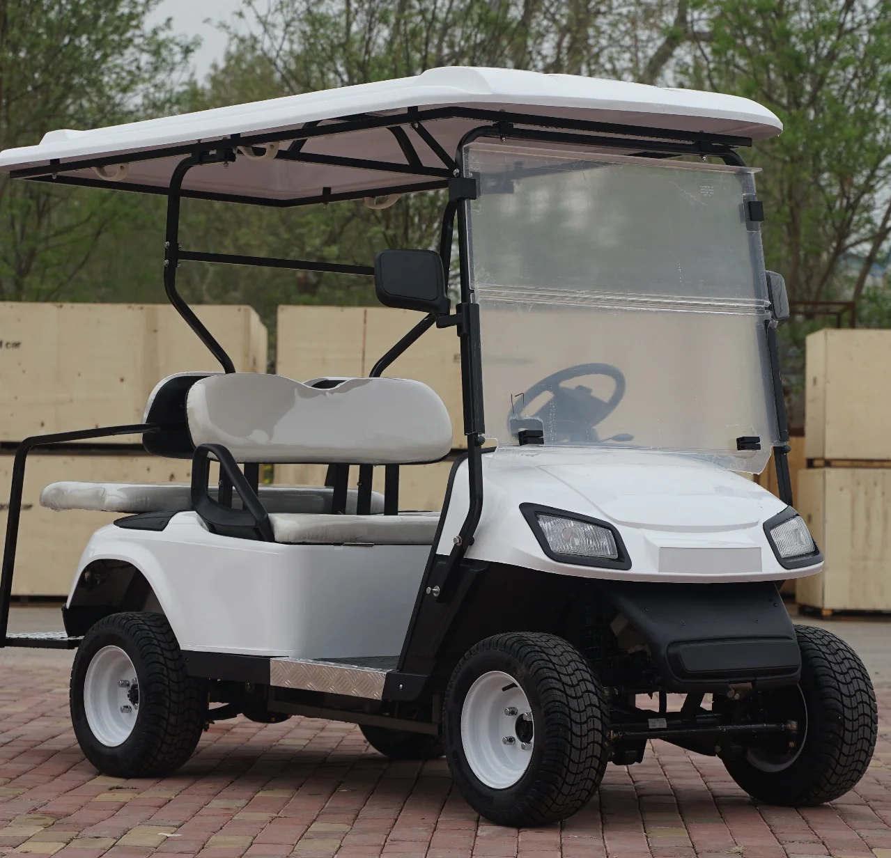 Electric-Golf-Carts-2-seater-4-6-Seater-Golf-Buggy-Price-High-Quality ...