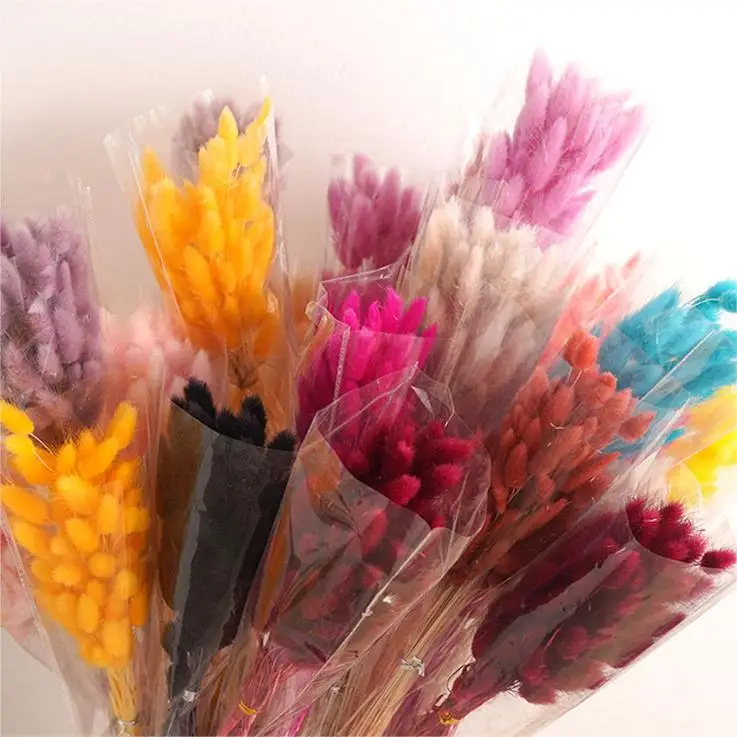 Cola-de-conejo-Natural-para-florero-cola-de-conejo-esponjosa-arreglo-de ...