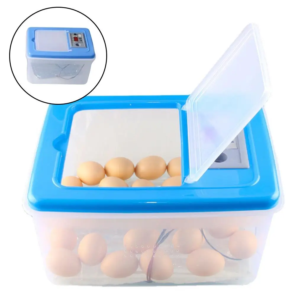 Small-Plastic-Household-Egg-Incubator-for-Bird-Goose-Chicken-Duck-Eggs ...