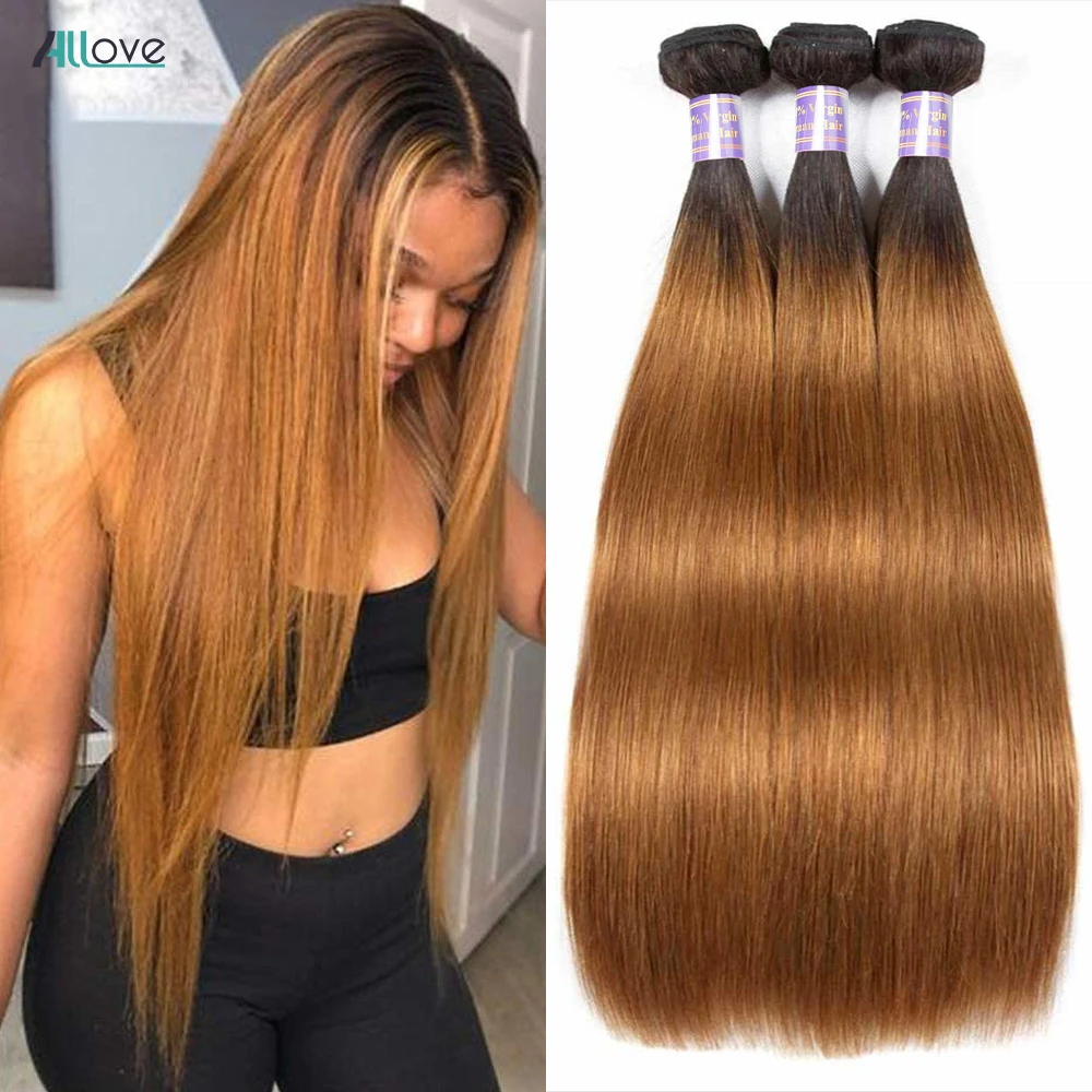 Tissage-en-lot-br-silien-Remy-naturel-lisse-ombr-Sophia-couleur-brun-1B ...