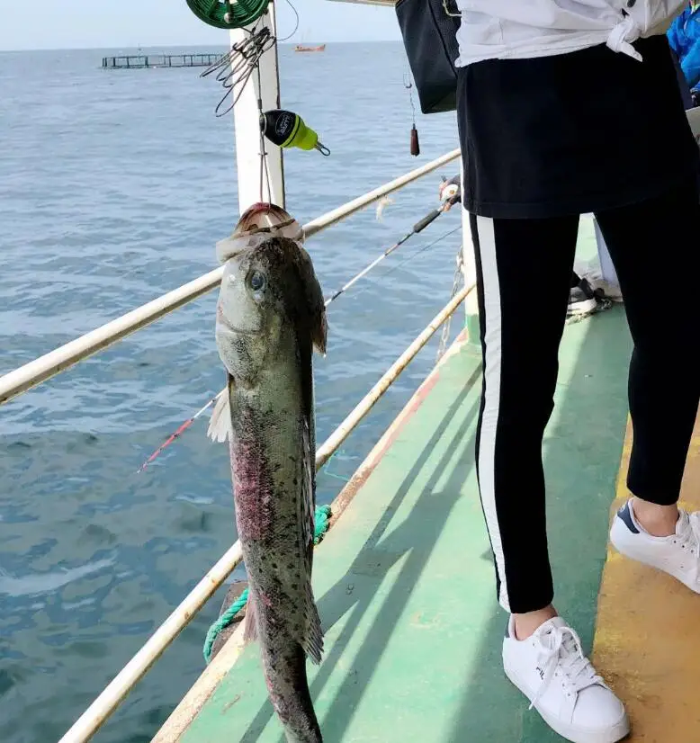 Boite de pêche,serrure de pêche avec moulinet, en acier inoxydable ...