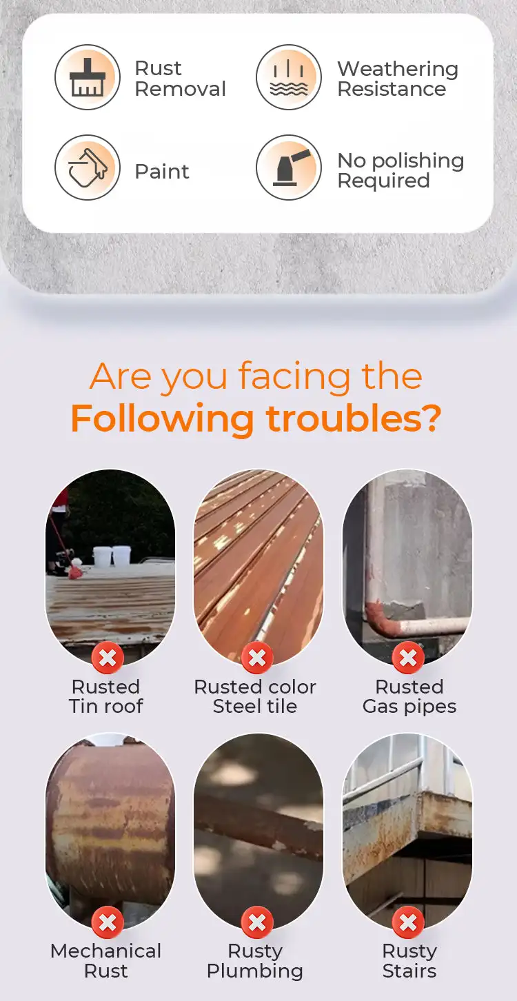 500g Rust Paint - engineering life