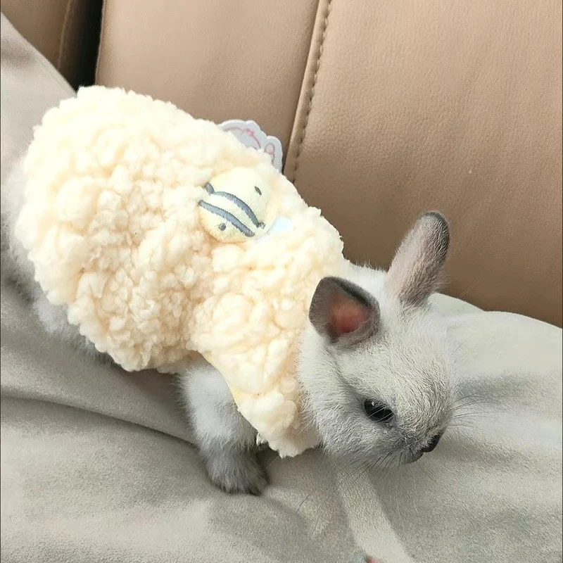Winter-Warm-Bunny-Rabbit-Sweater-for-Little-Animals-Chinchillas-ferret ...